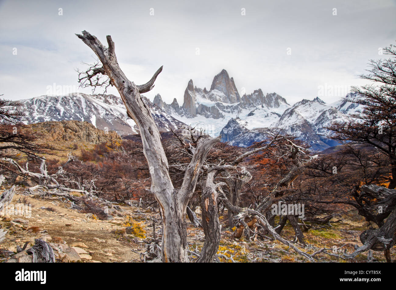 A view of Mount Fitz Roy in Patagonia, Argentina Stock Photo - Alamy