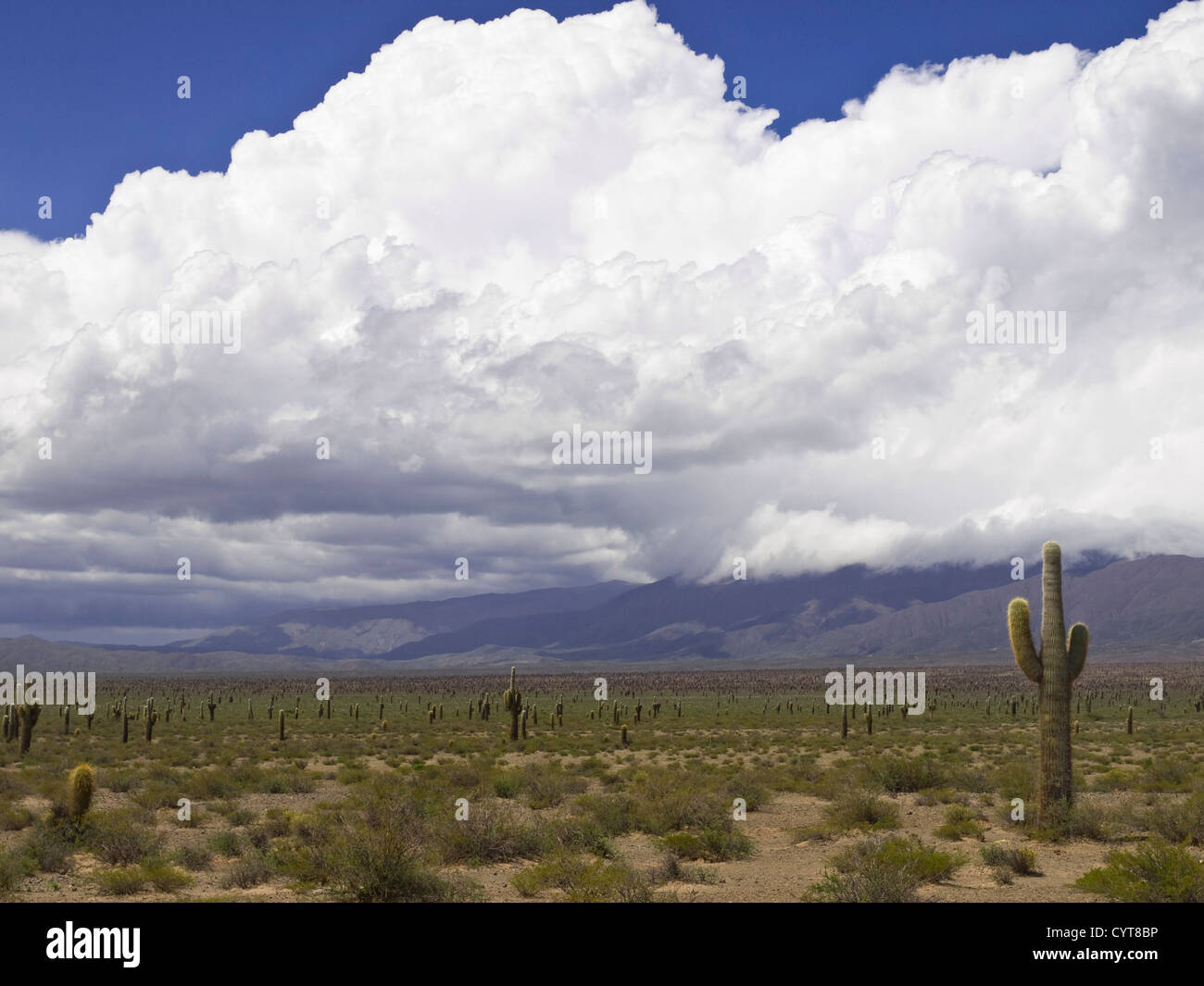 An arid landscape waits for the storm to come Stock Photo - Alamy