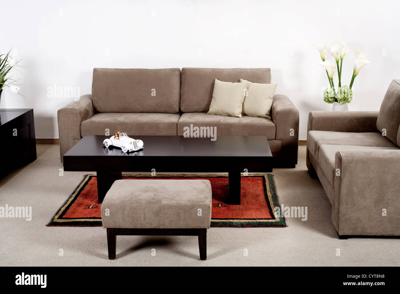Neat and clean modern living room with classic couch Stock Photo - Alamy