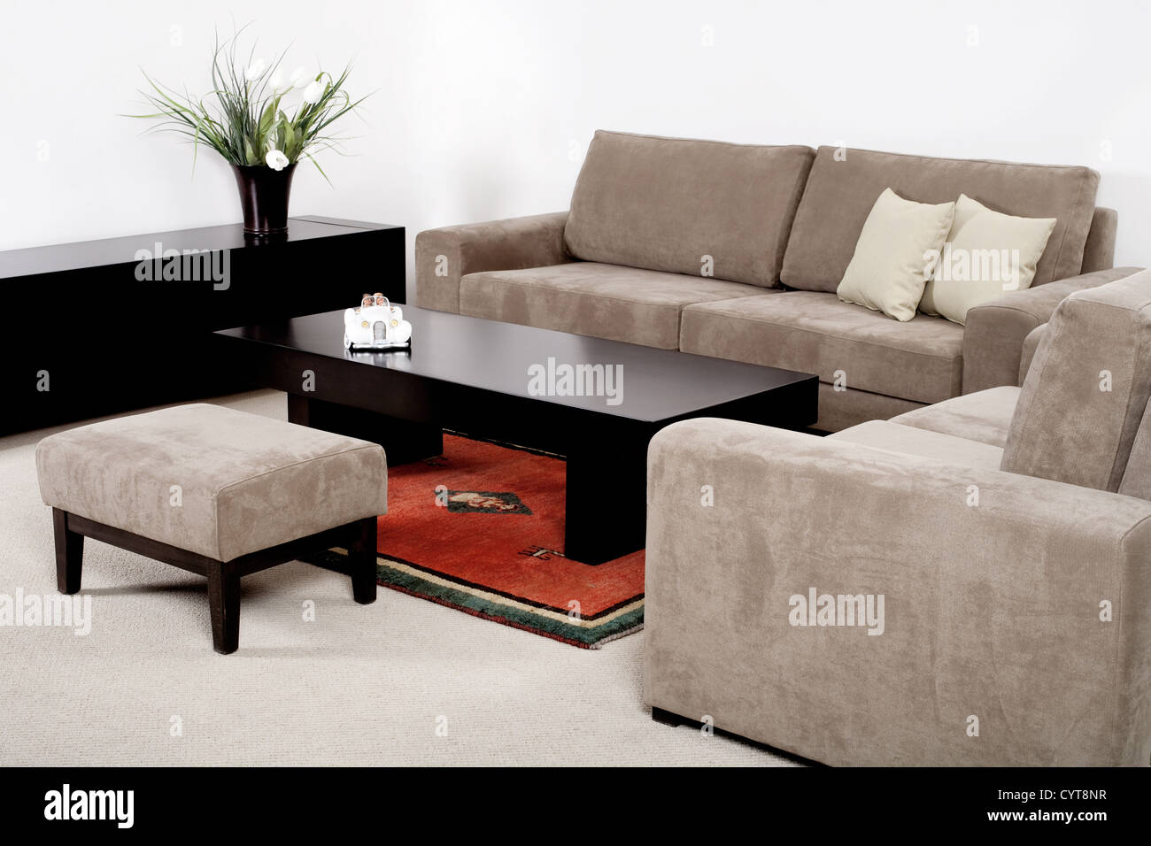Modern house, living-room with the modern furniture Stock Photo - Alamy