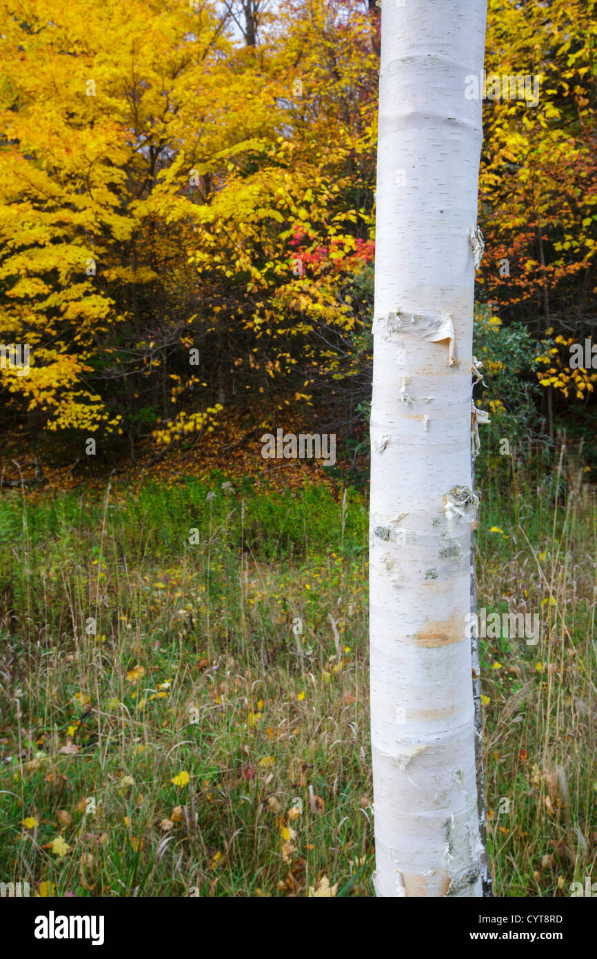 Franconia Notch State Park - Scenic view along the Franconia Notch Bike ...