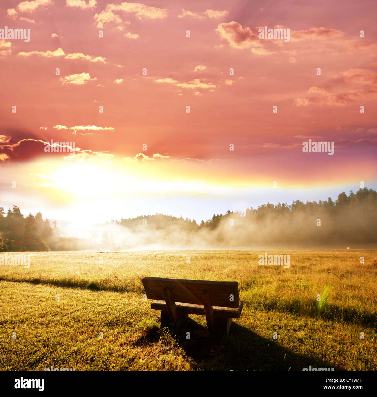 bench on grassland Stock Photo - Alamy
