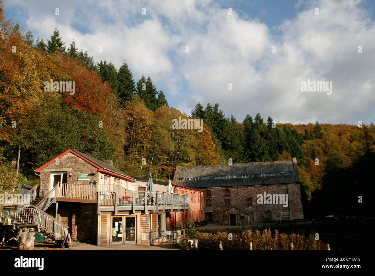 Forest of dean people hi-res stock photography and images - Alamy