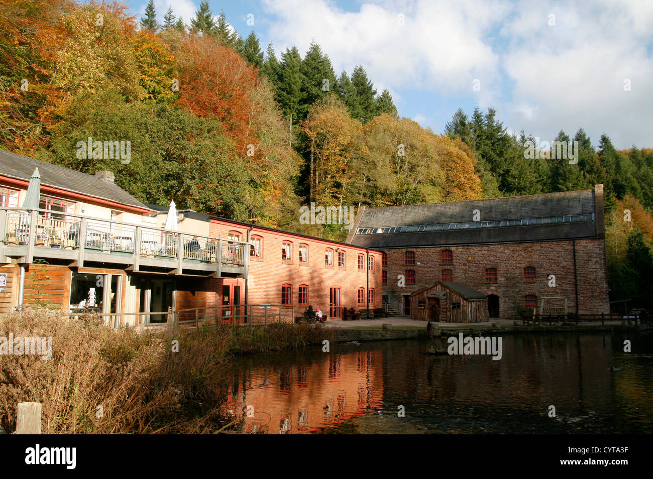 Royal forest of dean hi-res stock photography and images - Alamy