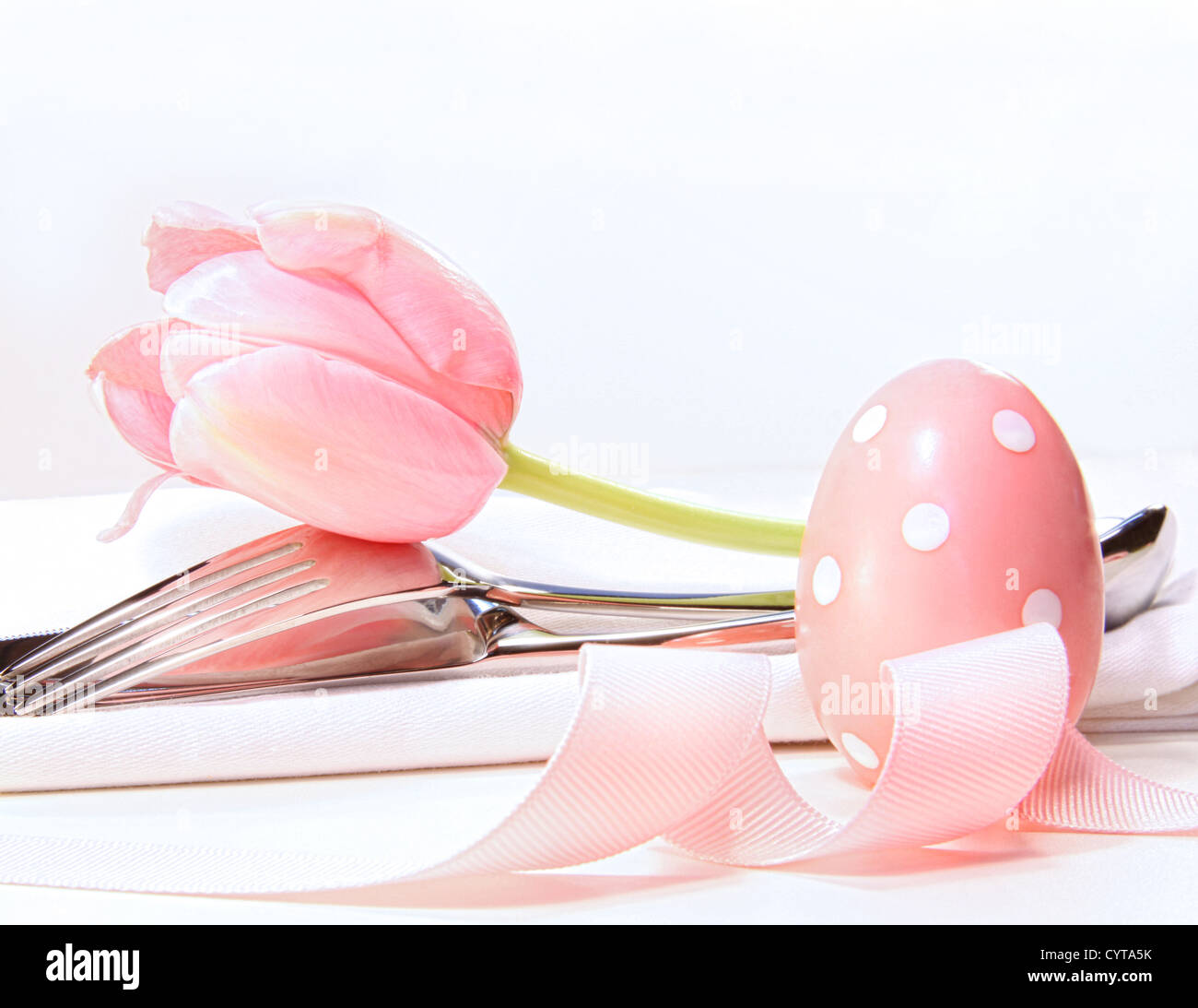 Closeup of tulip and utensils on pale pink background Stock Photo - Alamy