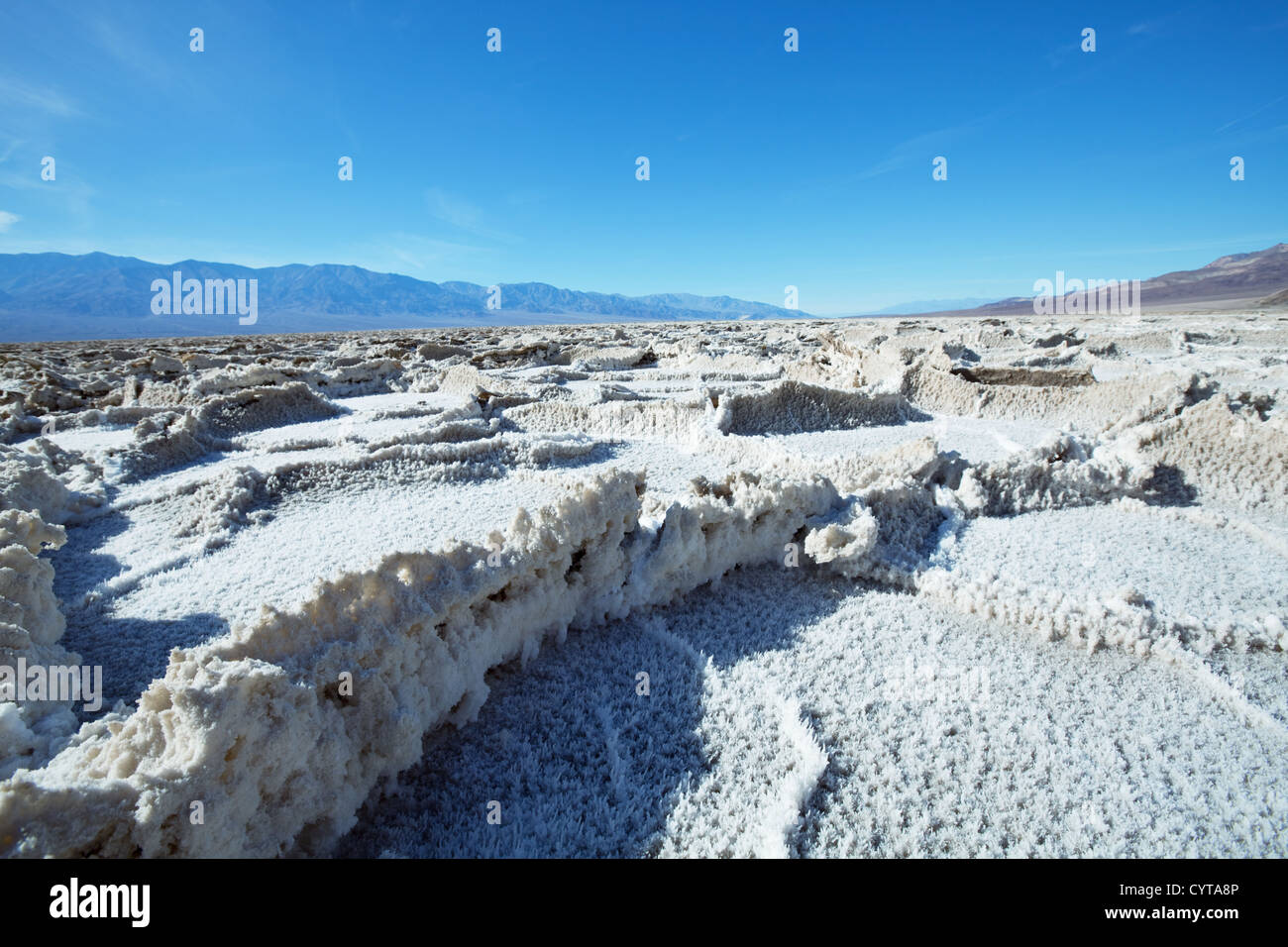Dead valley in Namibia Stock Photo - Alamy