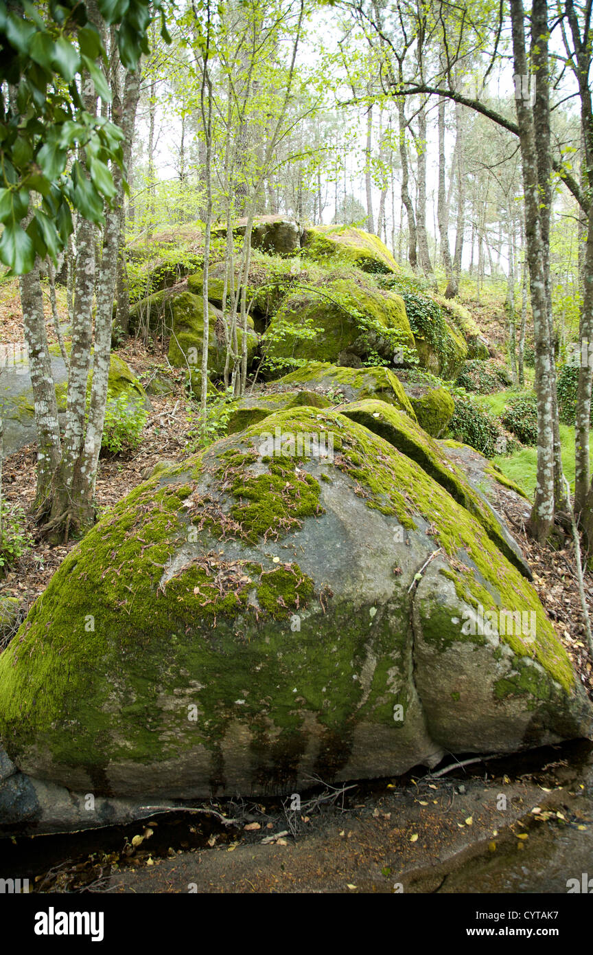 big rocks with moss on forest next to arenas village in spain Stock ...