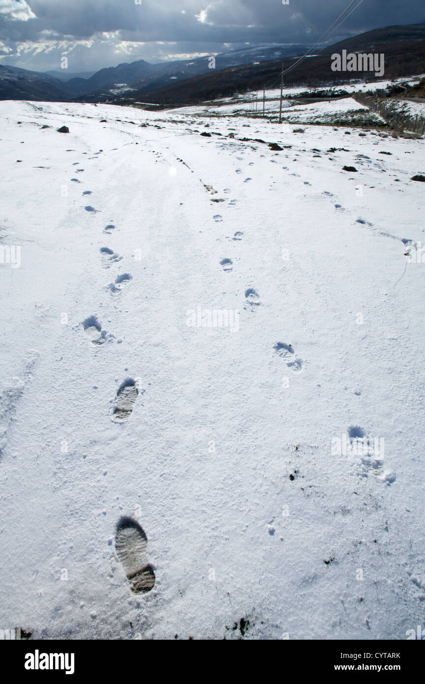 Human steps hi-res stock photography and images - Alamy