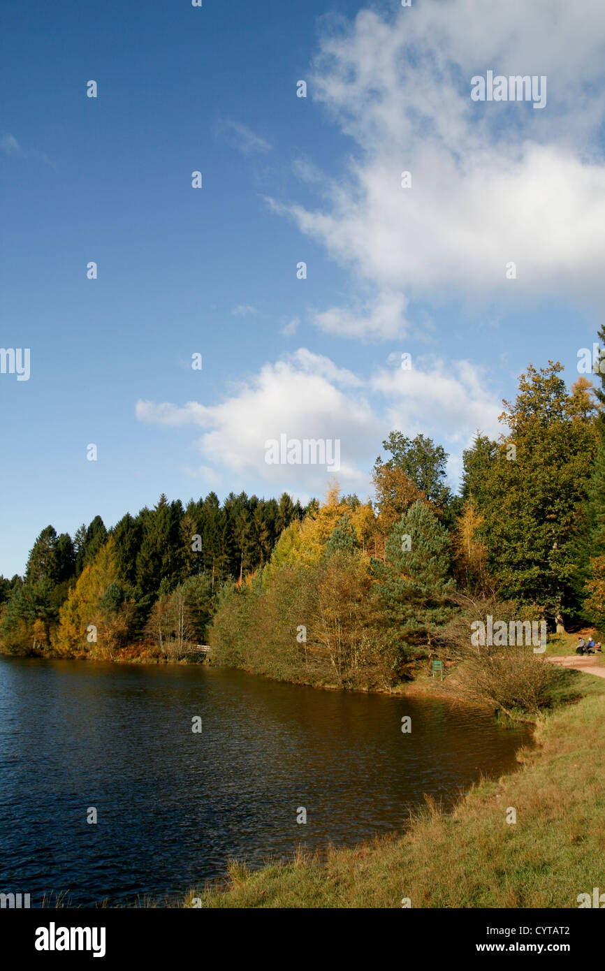 Gloucestershire england mallards pike lake hi-res stock photography and ...