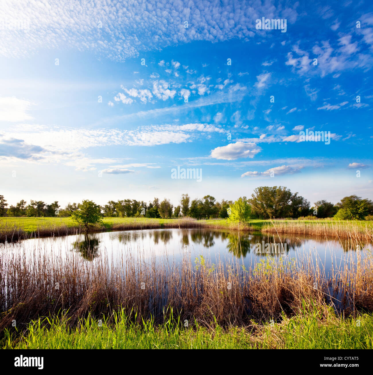 Summer small lake Stock Photo - Alamy
