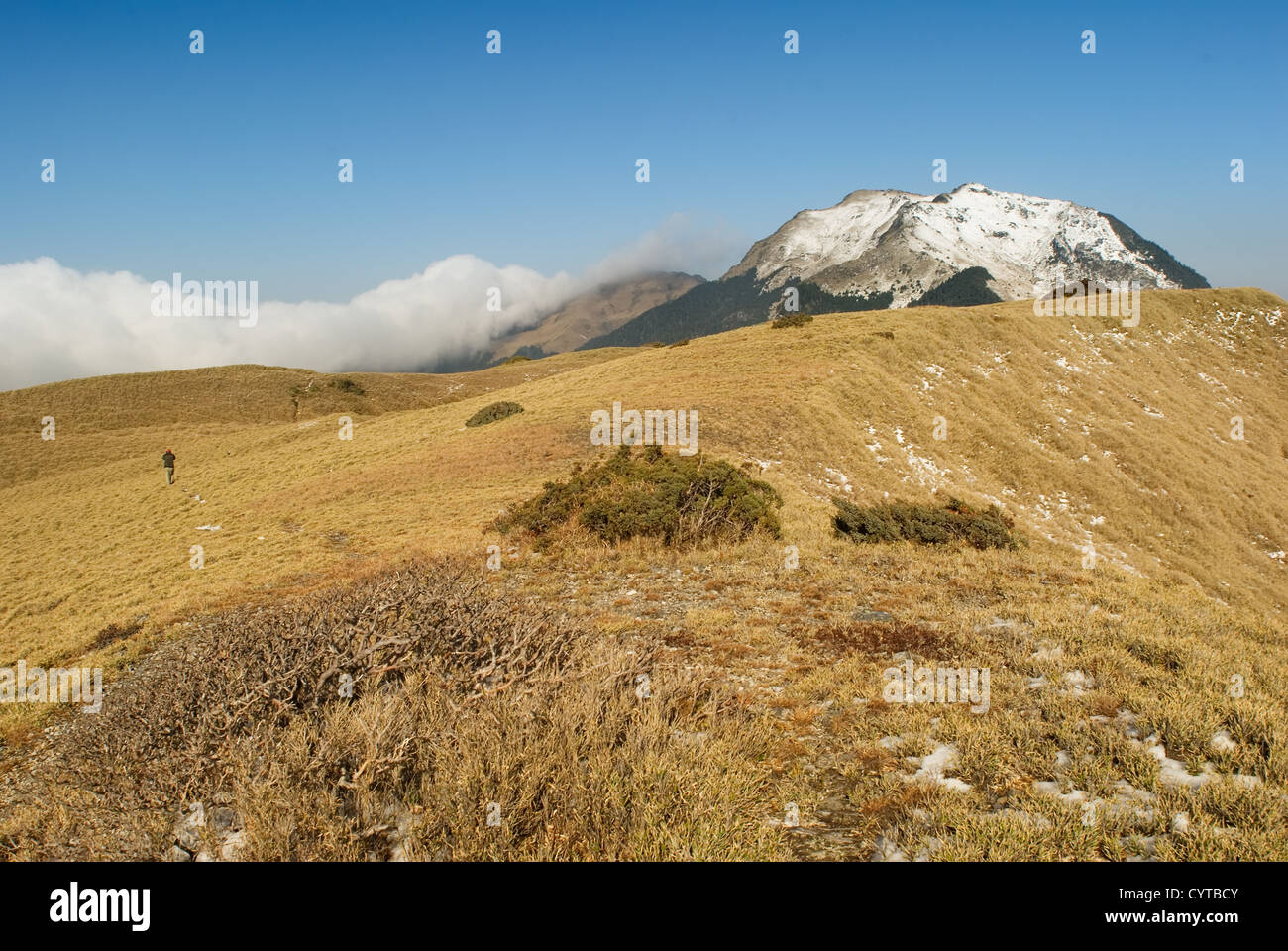A landscape with snow mountain peak and yellow grassland Stock Photo ...