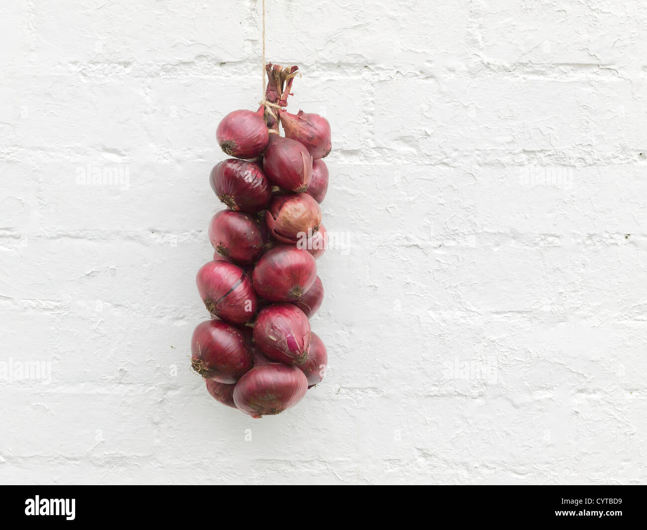 A bunch of Red Onions hanging on a white painted brick wall Stock Photo ...