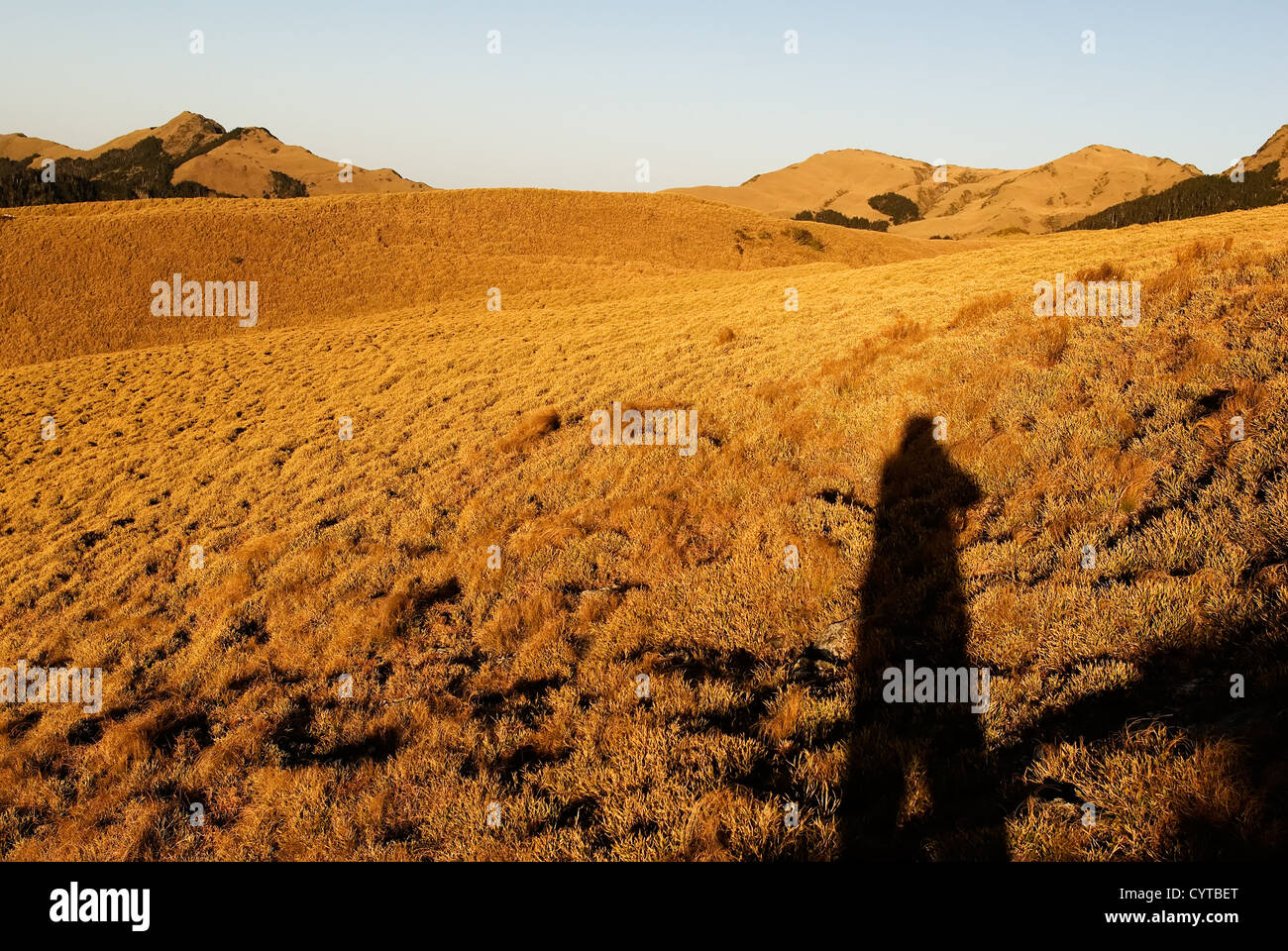 A shadow in the yellow grassland of high mountain Stock Photo - Alamy