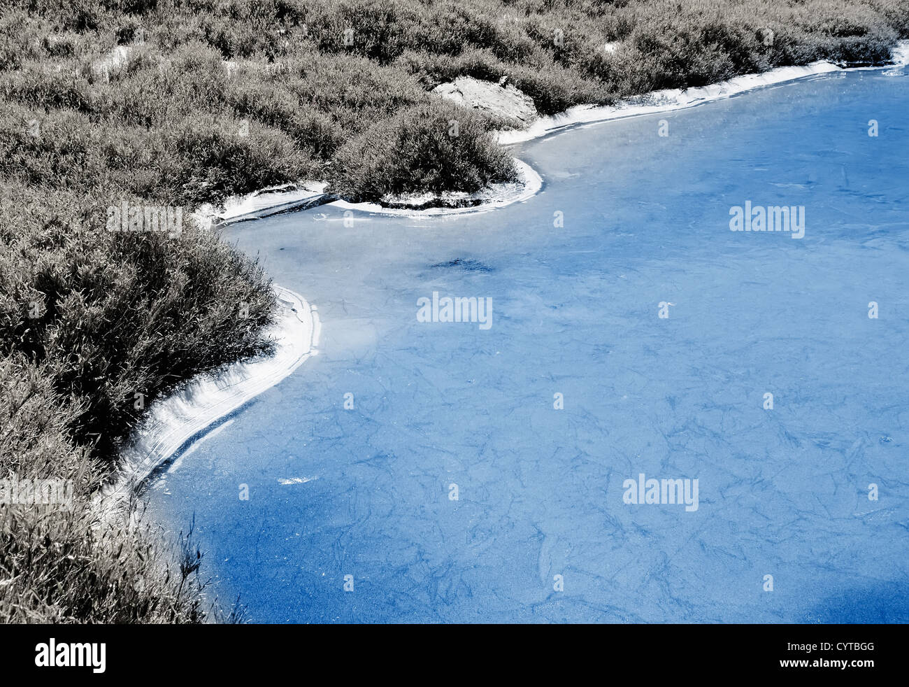 Beautiful strange iced pond surface and grass Stock Photo - Alamy