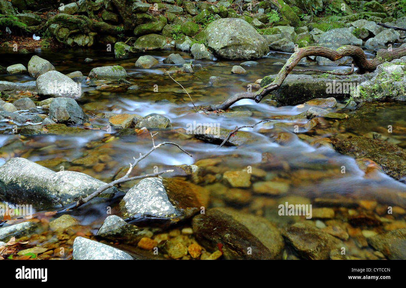 water spring in forest Stock Photo - Alamy