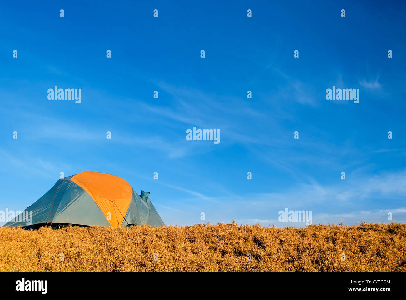Special tent set on the grassland of high mountain Stock Photo - Alamy