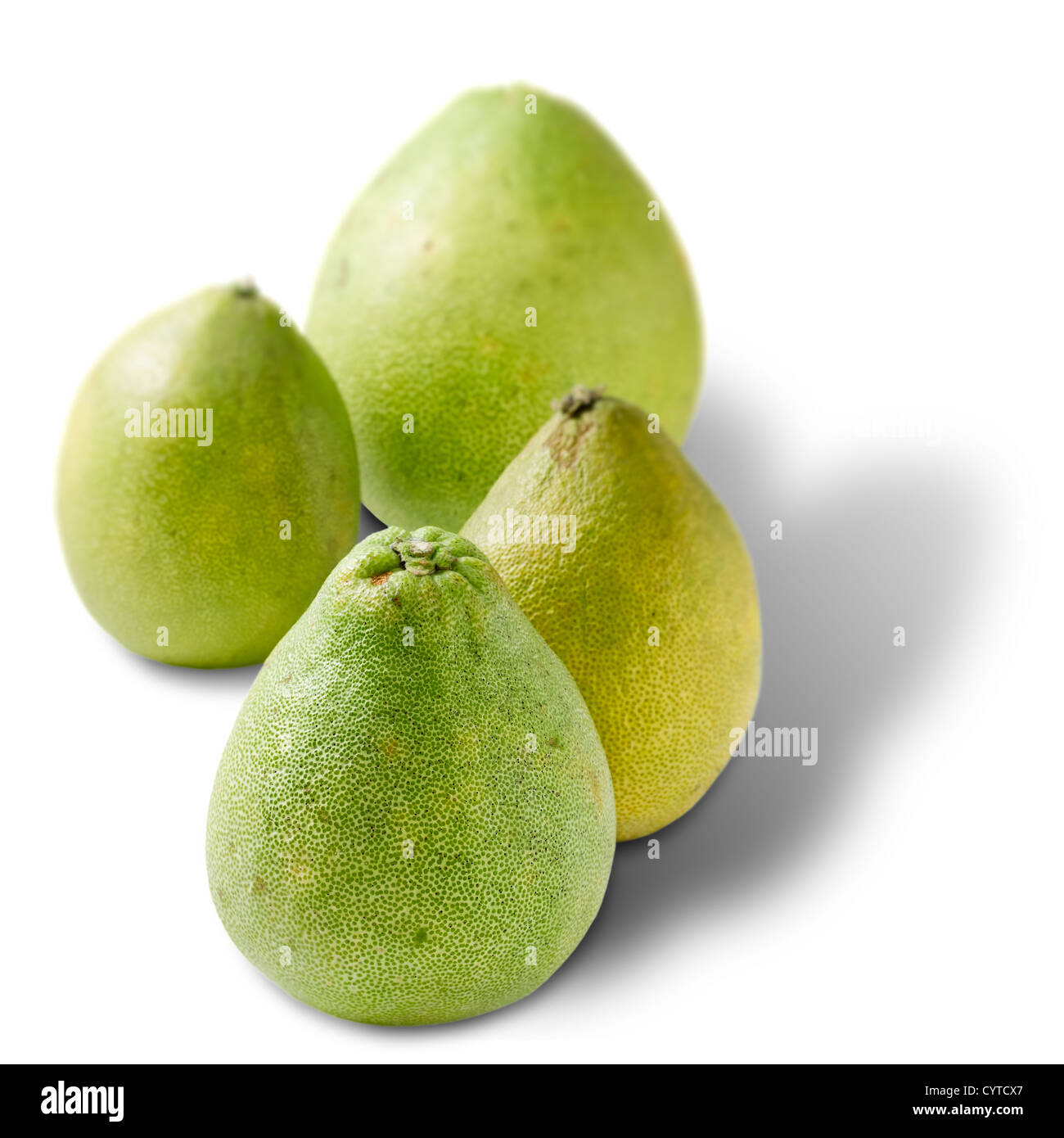 Pompelmous, group of fruit isolated on white background Stock Photo - Alamy
