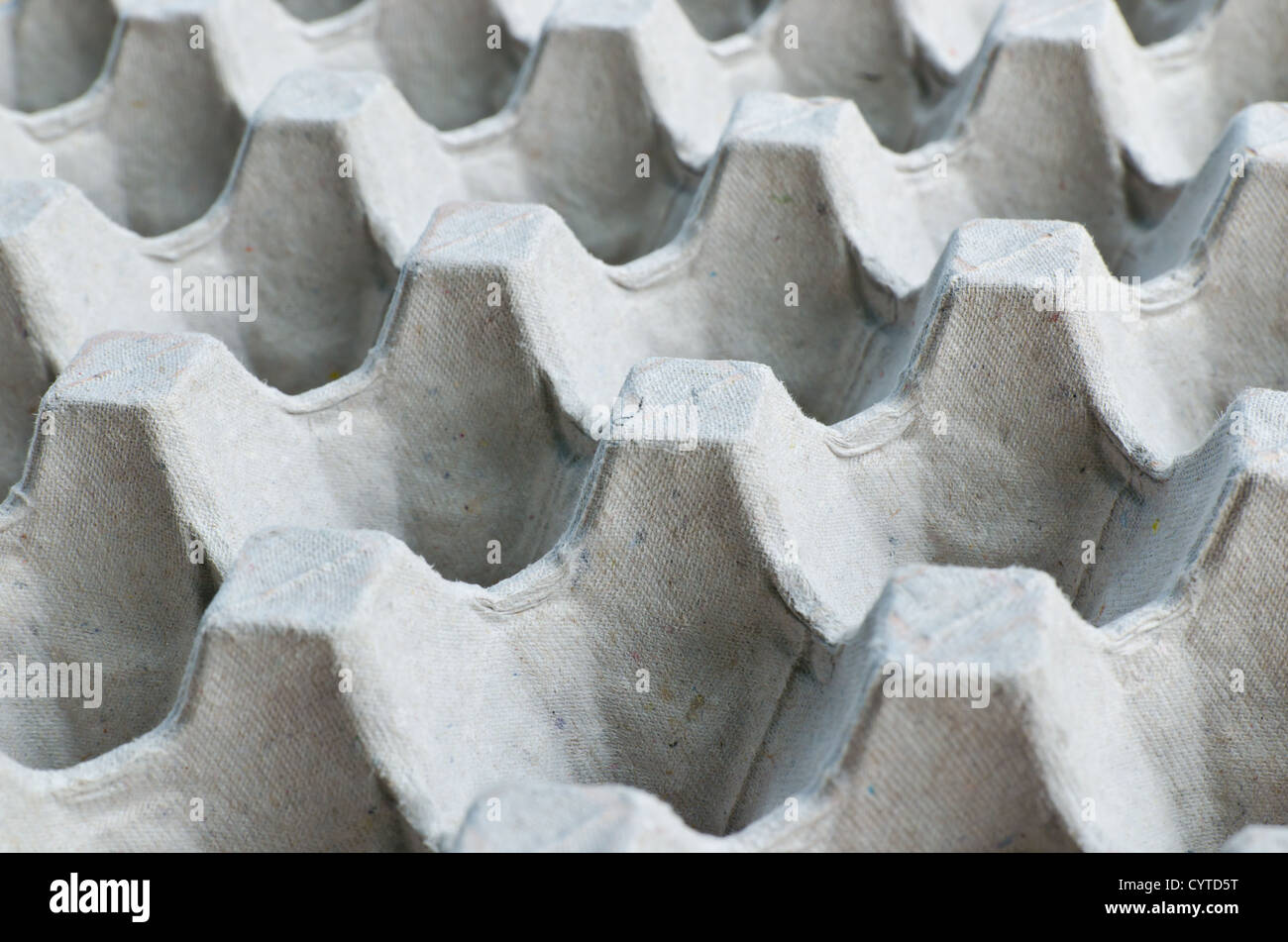 Empty egg tray Stock Photo - Alamy