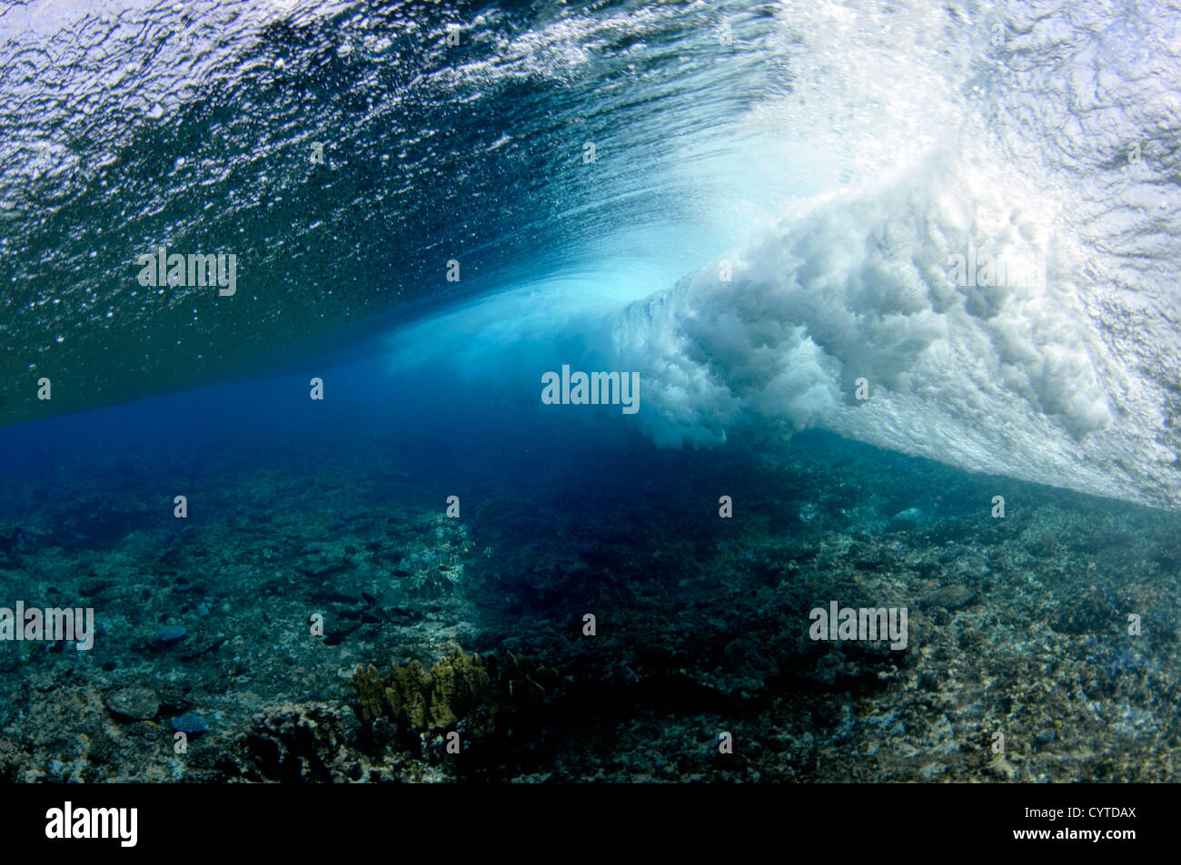 Ocean turbulence underwater hi-res stock photography and images - Alamy