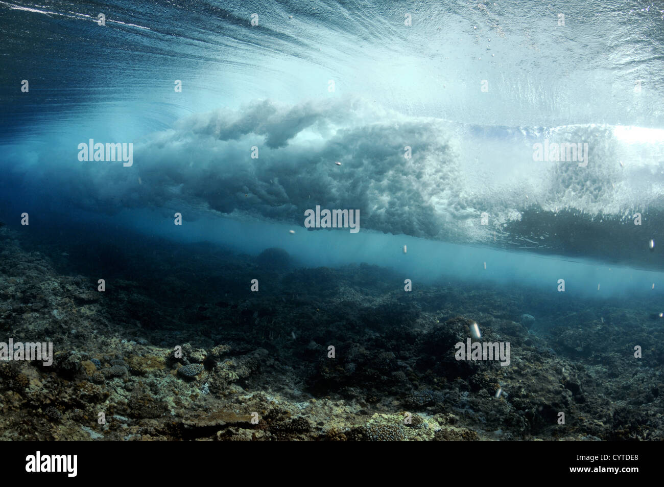 Surf reef underwater hi-res stock photography and images - Alamy