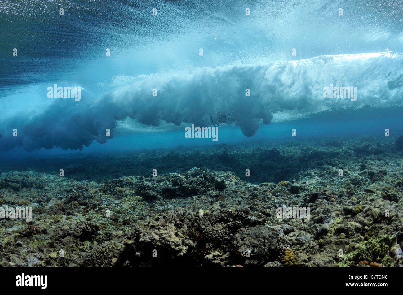 Breaking wave seen from underwater hi-res stock photography and images ...