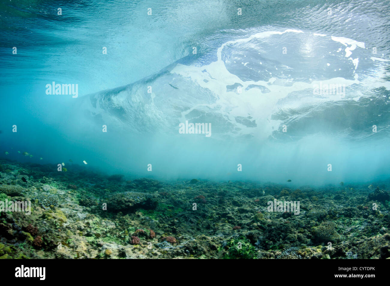 Wave breaking on reef, seen from below the surface, Palikir pass ...