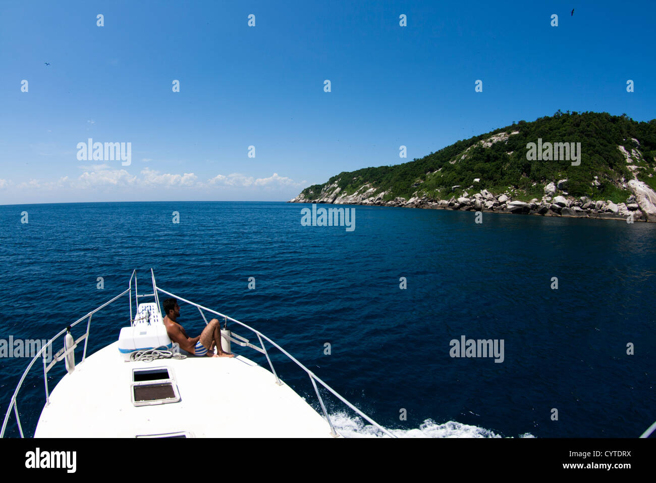 Snake island brazil hi-res stock photography and images - Alamy