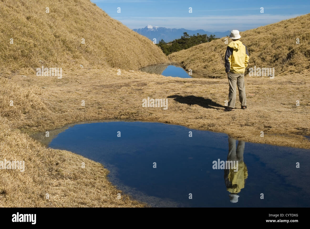Watching mountain stand on golden grassland lake in morning Stock Photo ...