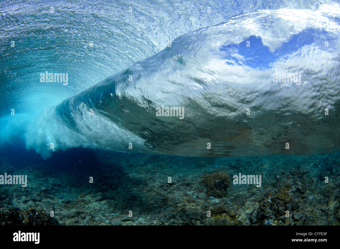 Wave breaking on reef, seen from below the surface, Palikir Pass ...