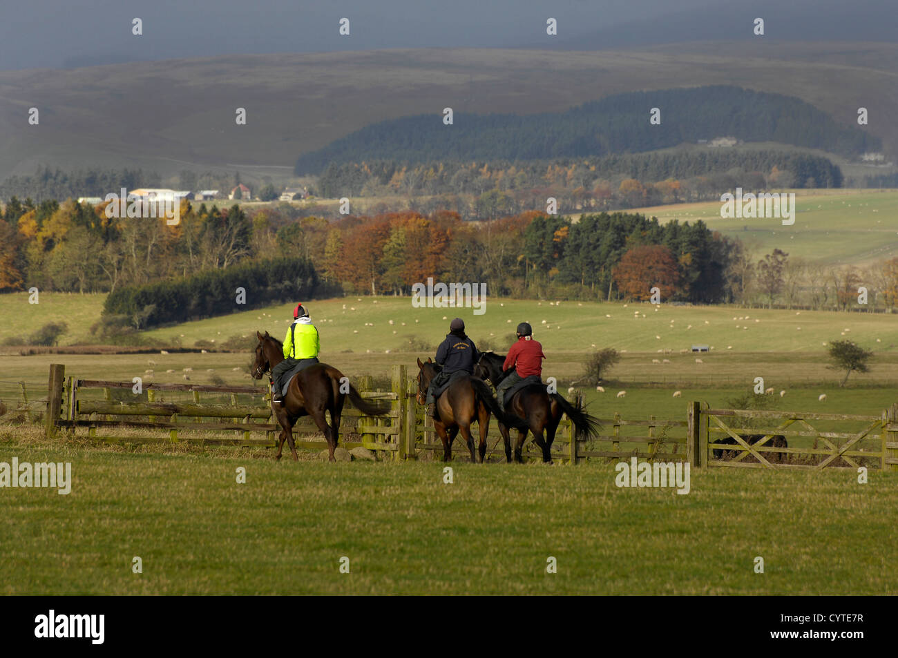 Horse riding uk hi-res stock photography and images - Alamy