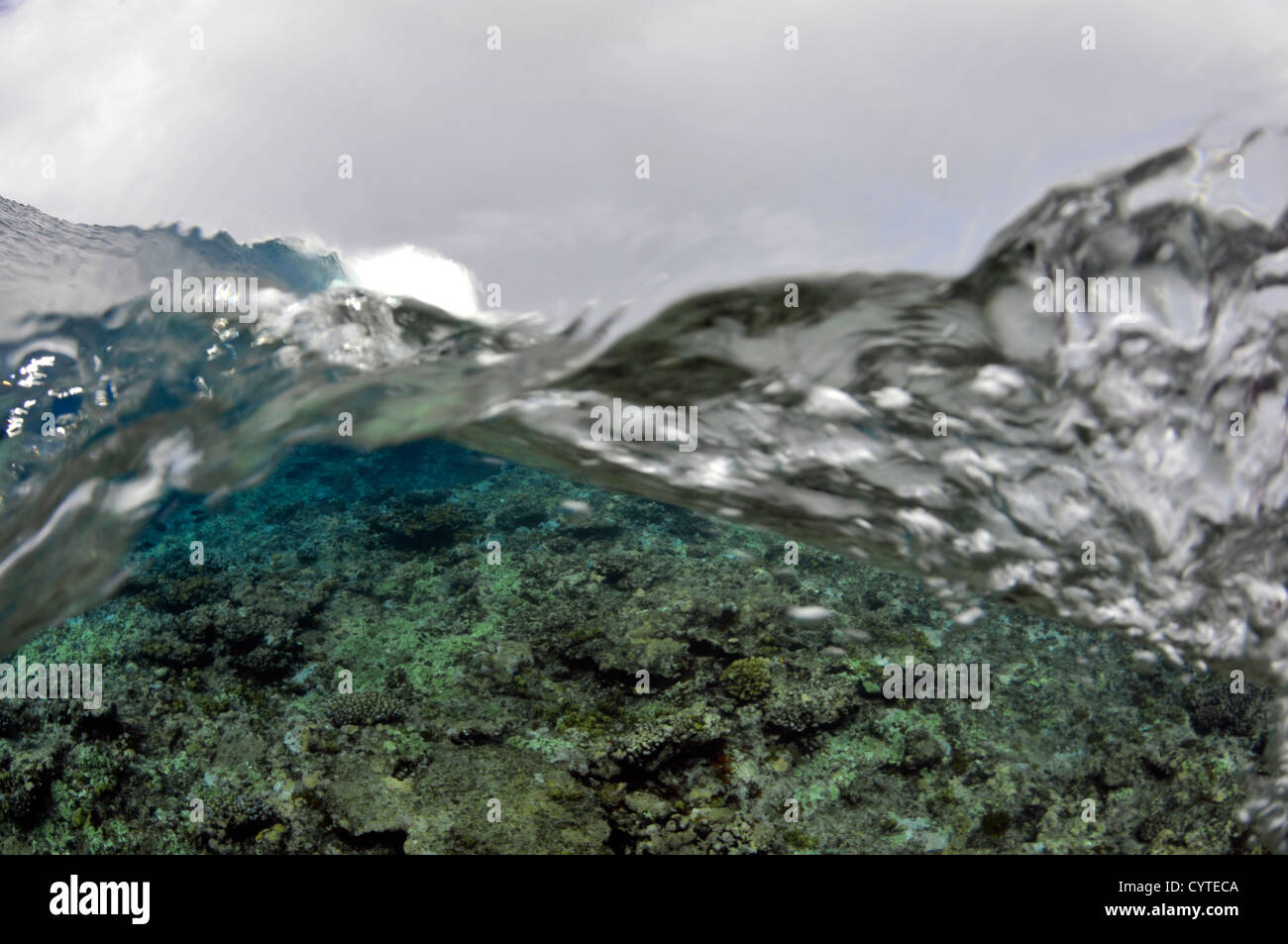 Wave breaking on reef, seen from below the surface, Palikir Pass ...