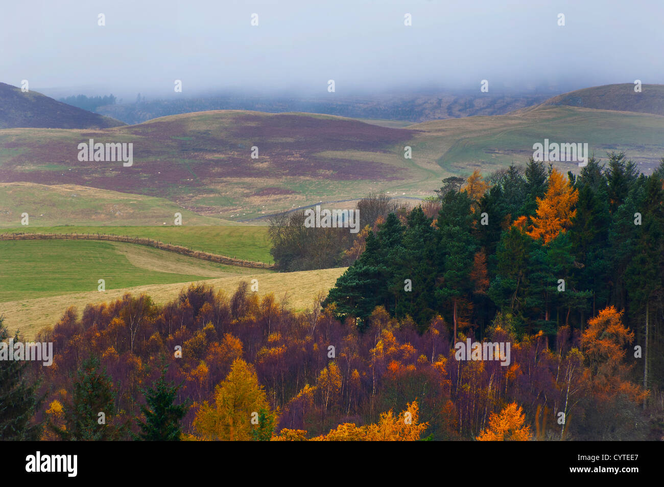 Clouds misty mist hi-res stock photography and images - Alamy