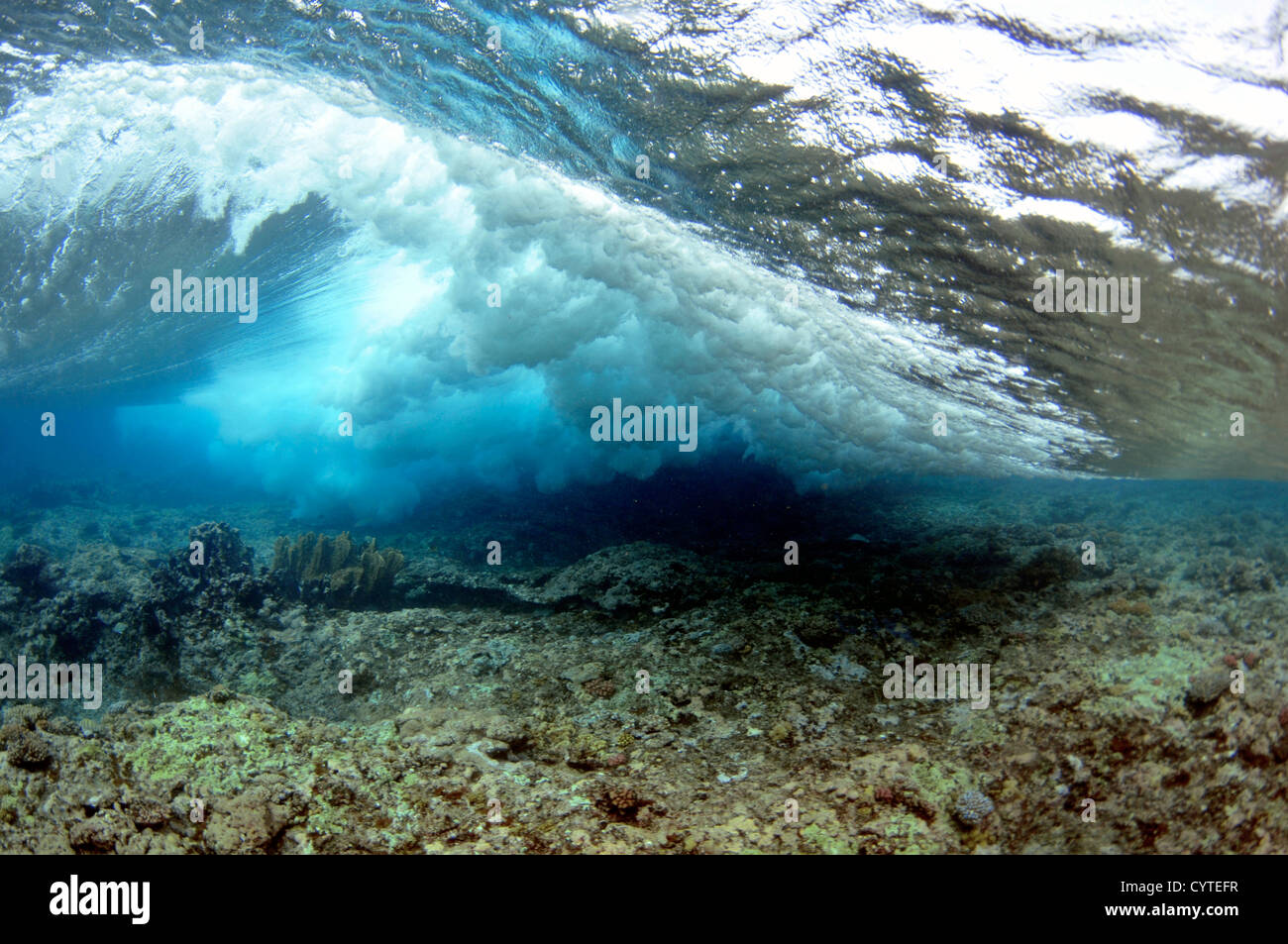 Reef wave hi-res stock photography and images - Alamy