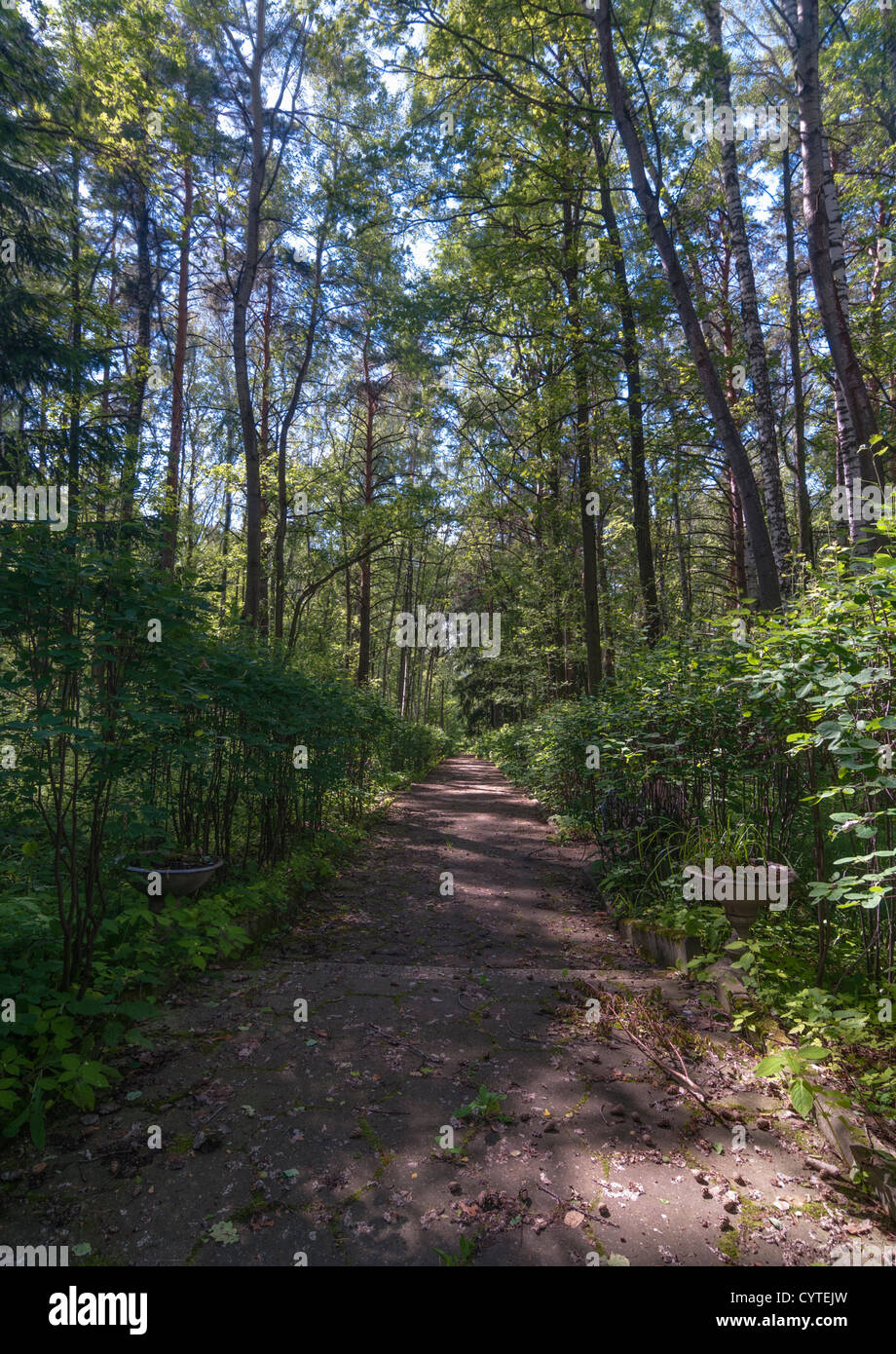 cottage park recreation forest summer outdoors Stock Photo - Alamy