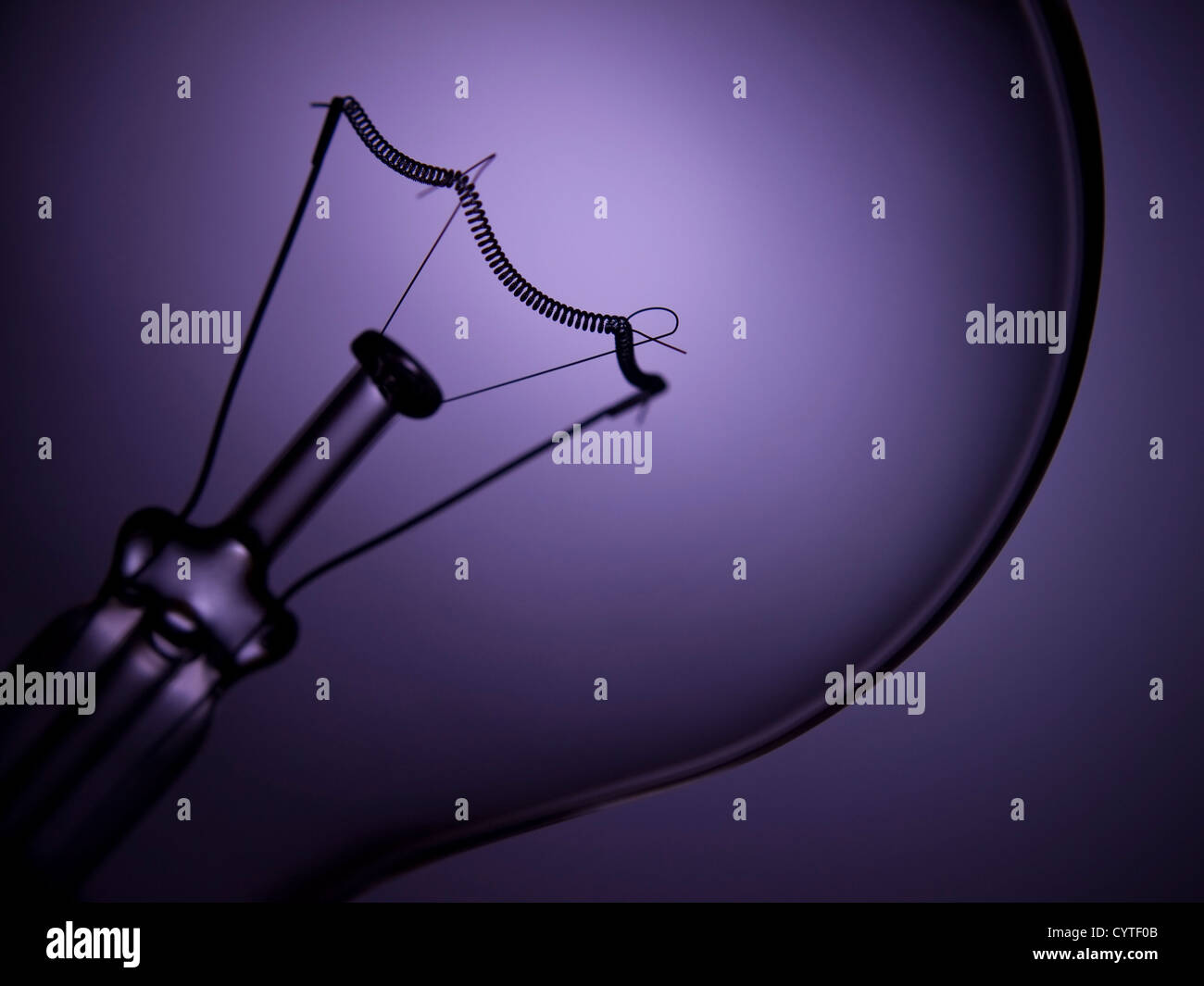 Purple color bulb hi-res stock photography and images - Alamy