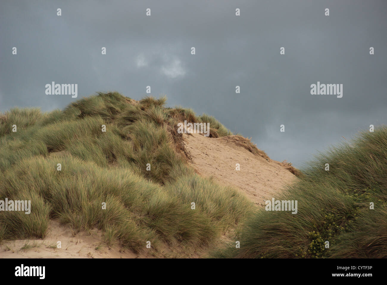 Burrows in sand hi-res stock photography and images - Alamy