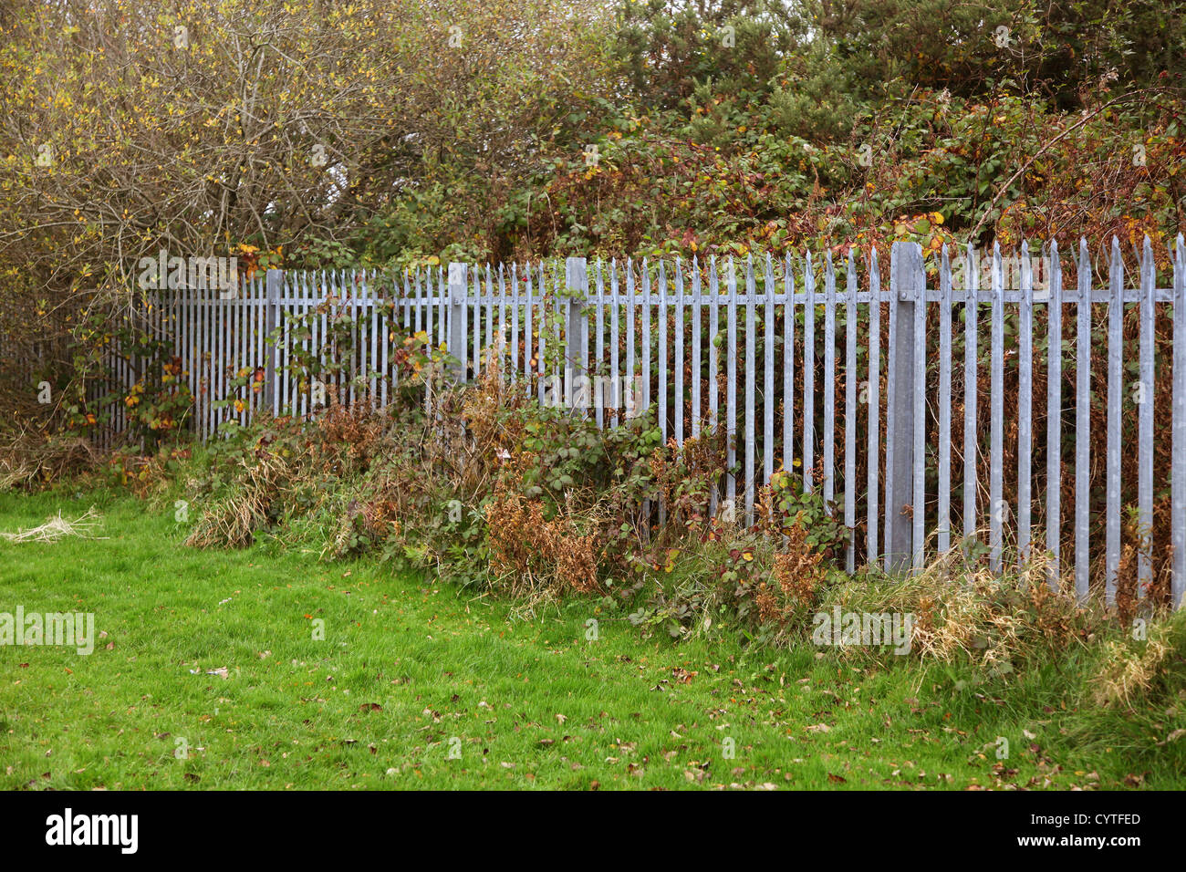 Over grown steel security fence at the side of a public park Stock ...