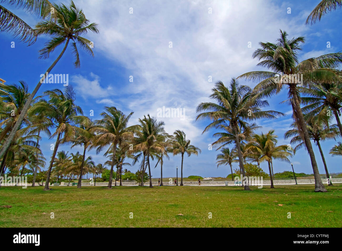 Southeast south miami beach hi-res stock photography and images - Alamy