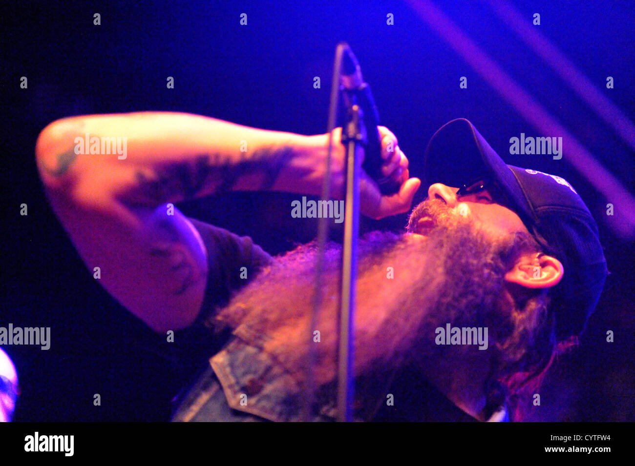 Nov. 9, 2012 - West Hollywood, California, USA - Musician-TIM NARDUCCI ...