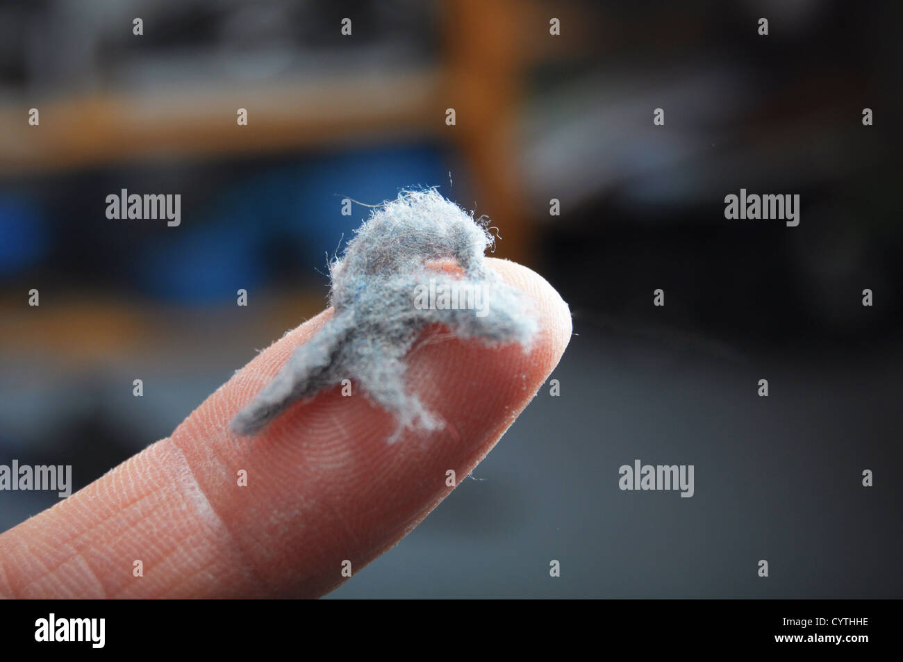 Home maintance hi-res stock photography and images - Alamy