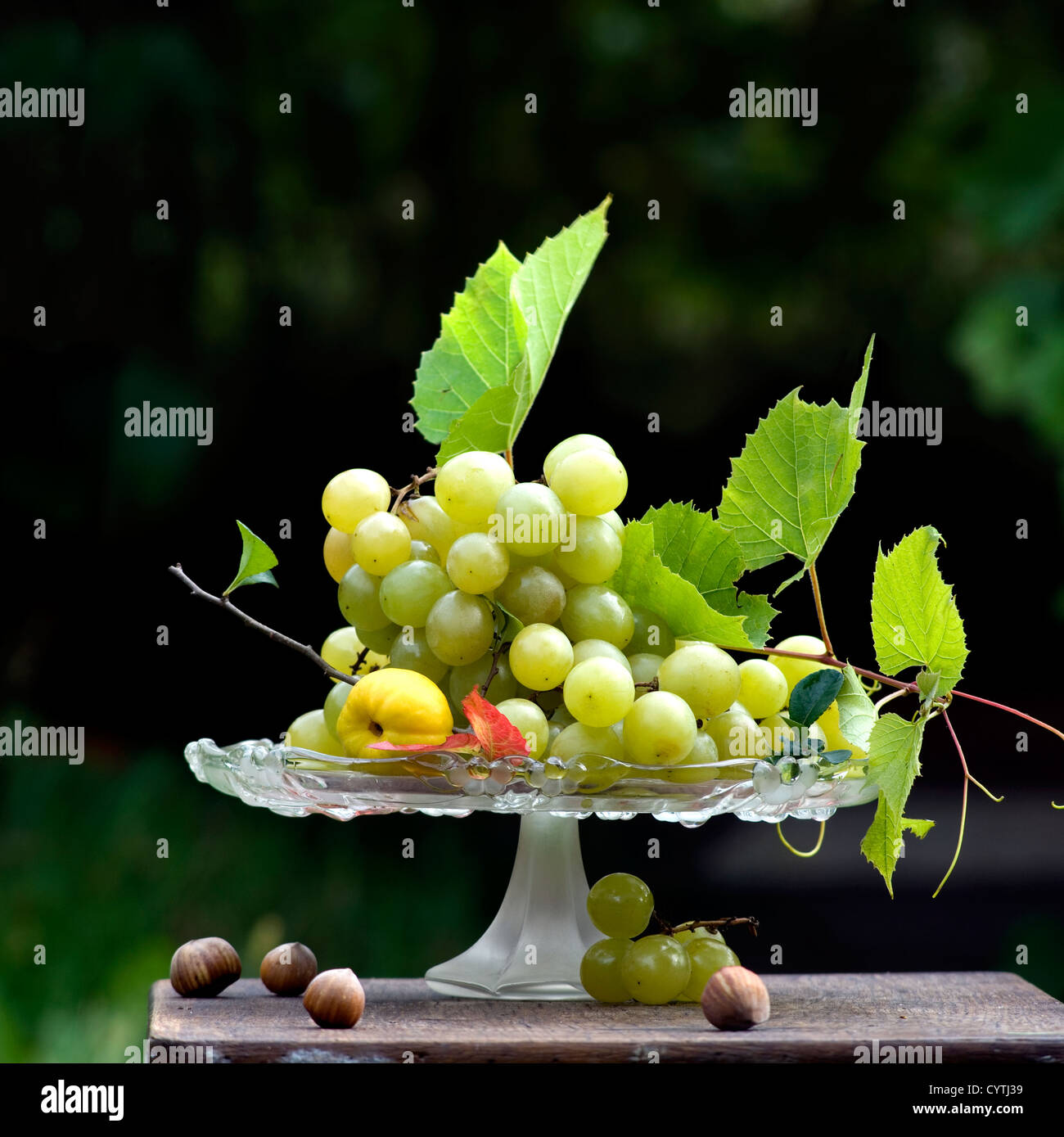 table in the garden with grapes Stock Photo - Alamy