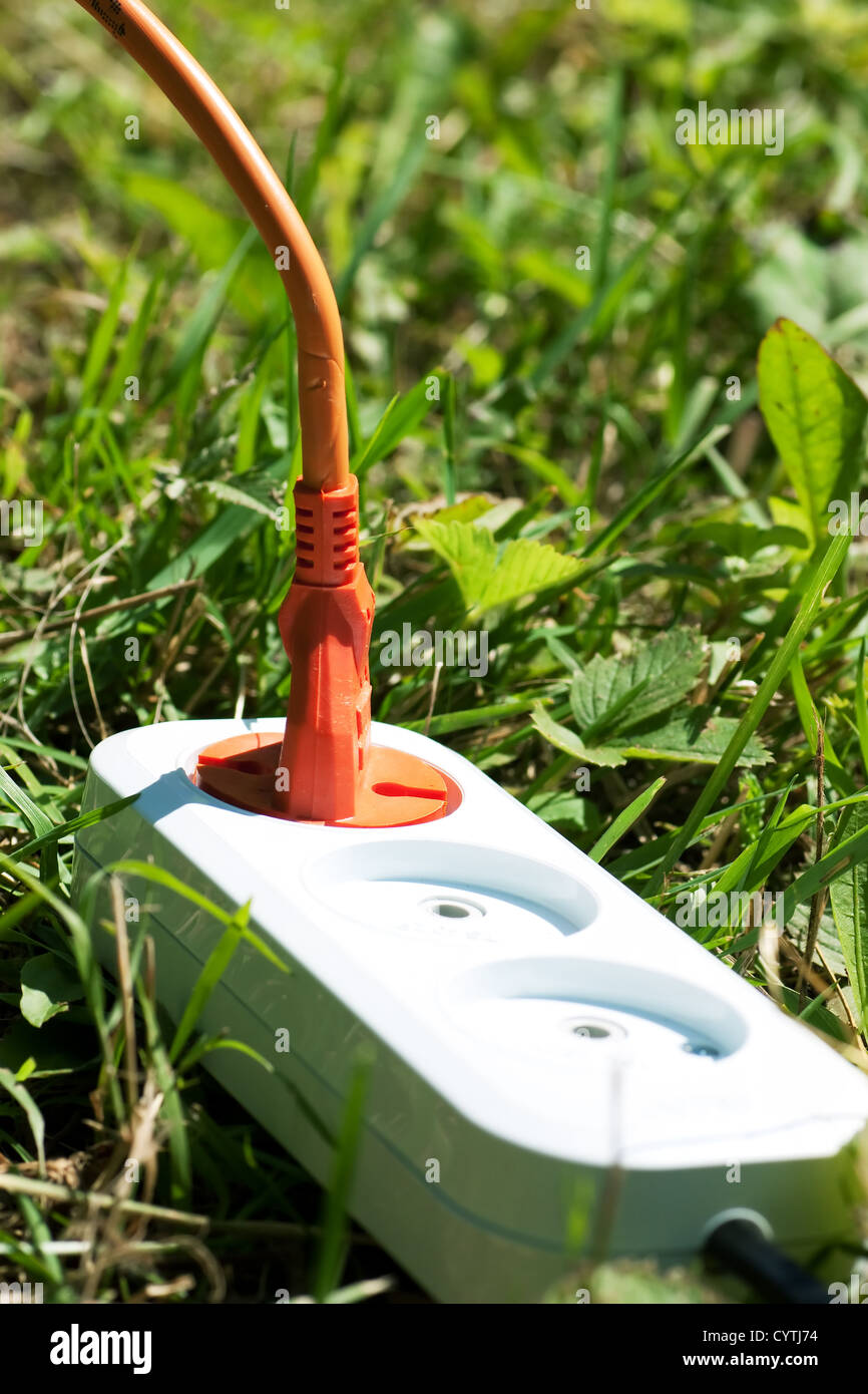 Green plug leaf line hi-res stock photography and images - Alamy
