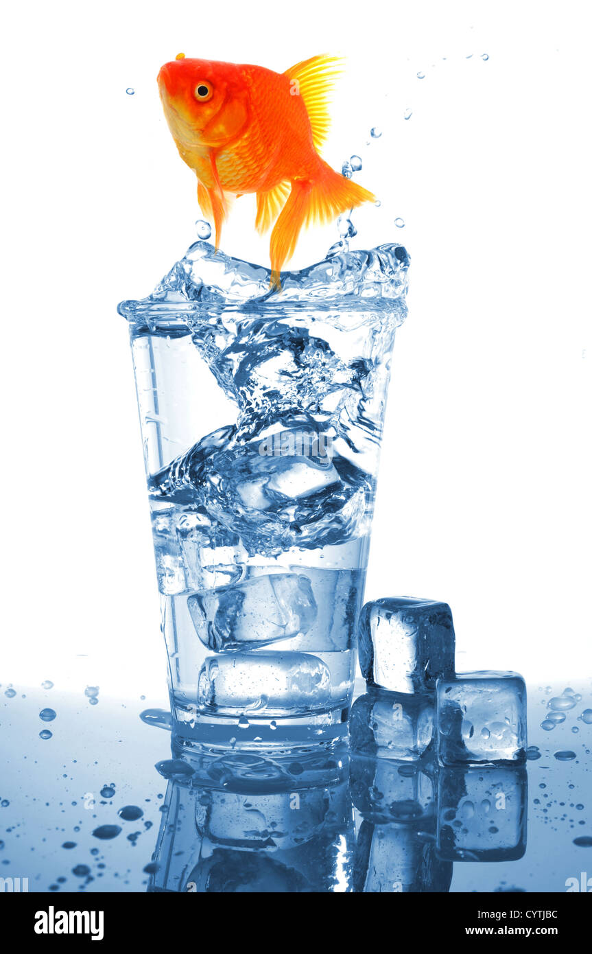 Fishbowl drink hi-res stock photography and images - Alamy