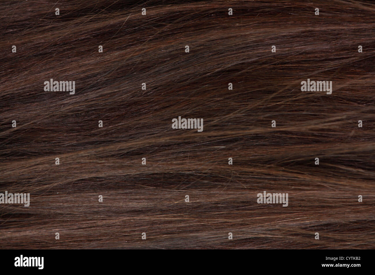 Close up hairs texture to background Stock Photo - Alamy