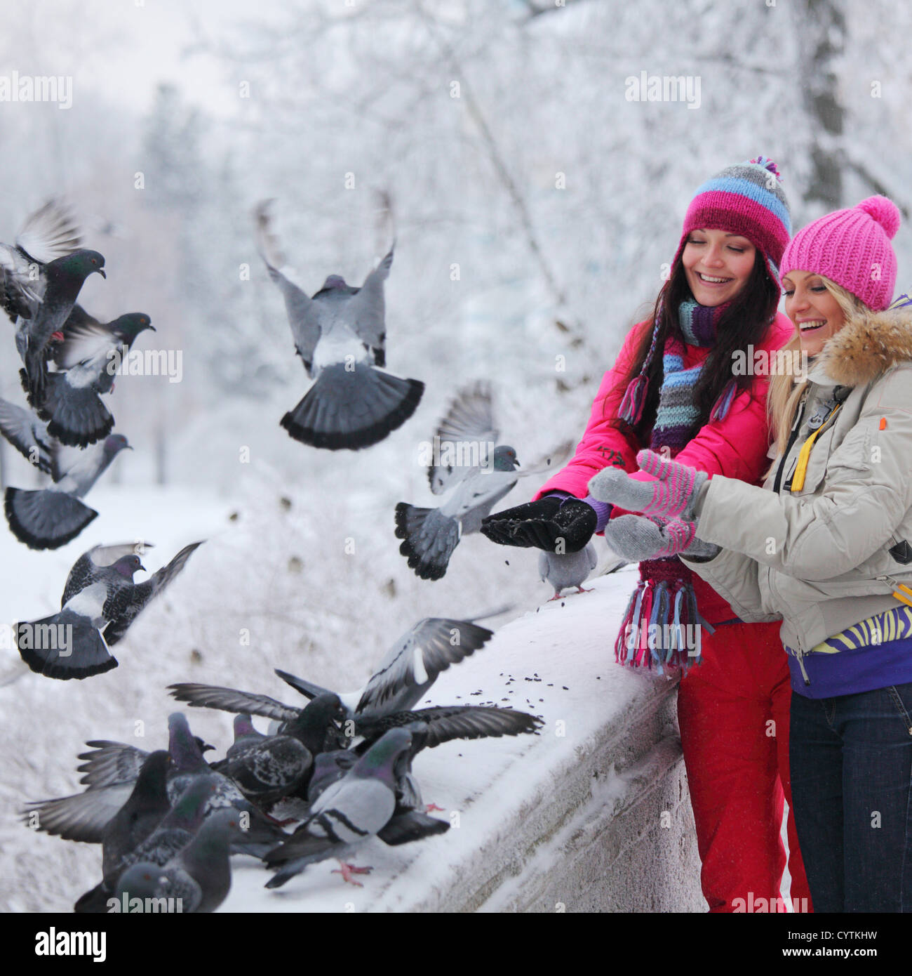 Smiling white pigeon hi-res stock photography and images - Alamy