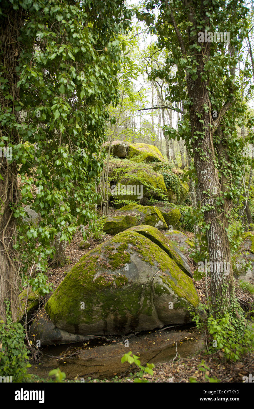 big rocks with moss on forest next to arenas village in spain Stock ...