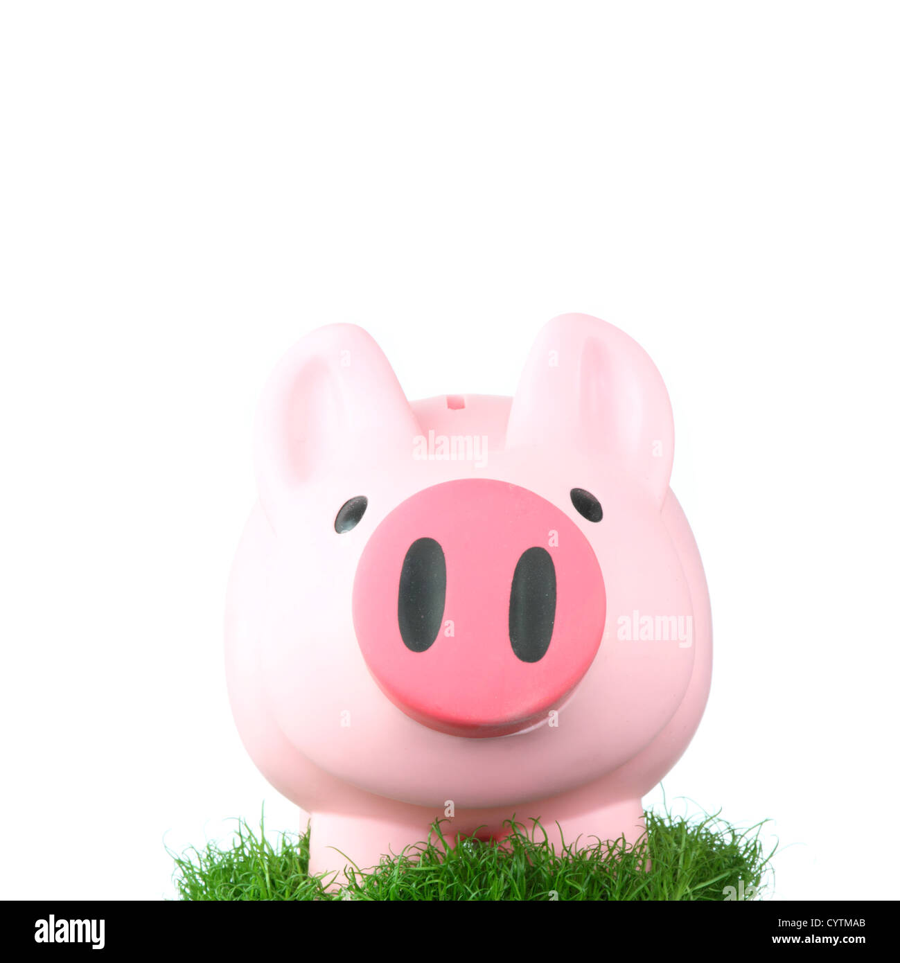 Pink coin bank (piggy bank or moneybox) sitting on grass Stock Photo ...