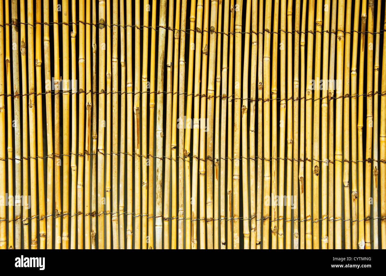 A bamboo fence background Stock Photo - Alamy