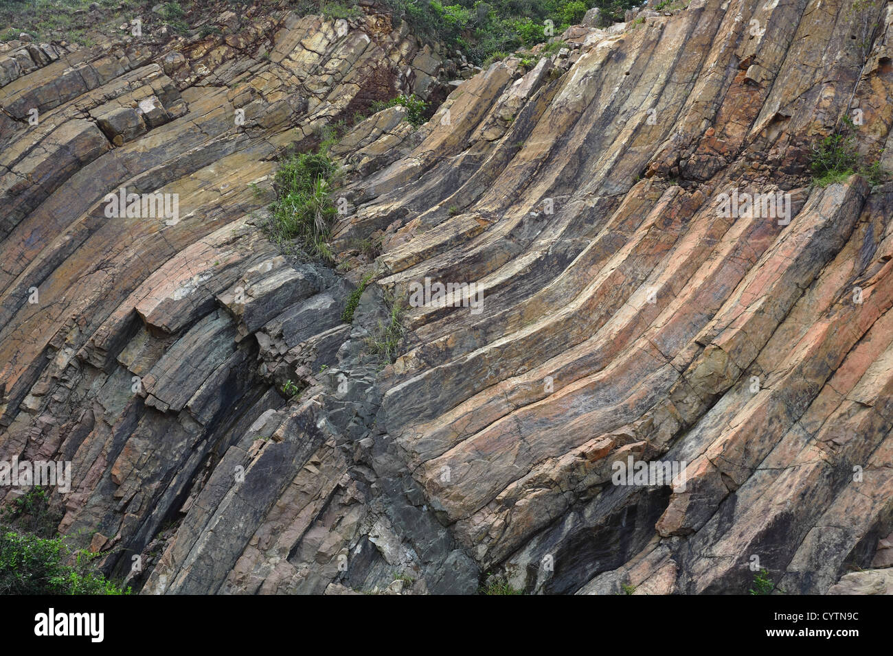 Hong Kong geopark, natural hexagonal column mural Stock Photo - Alamy