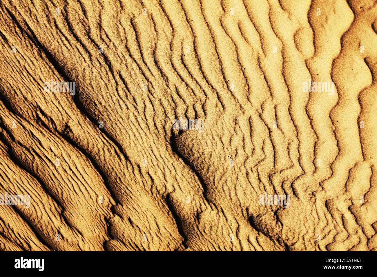 snake footprints on sand Stock Photo - Alamy